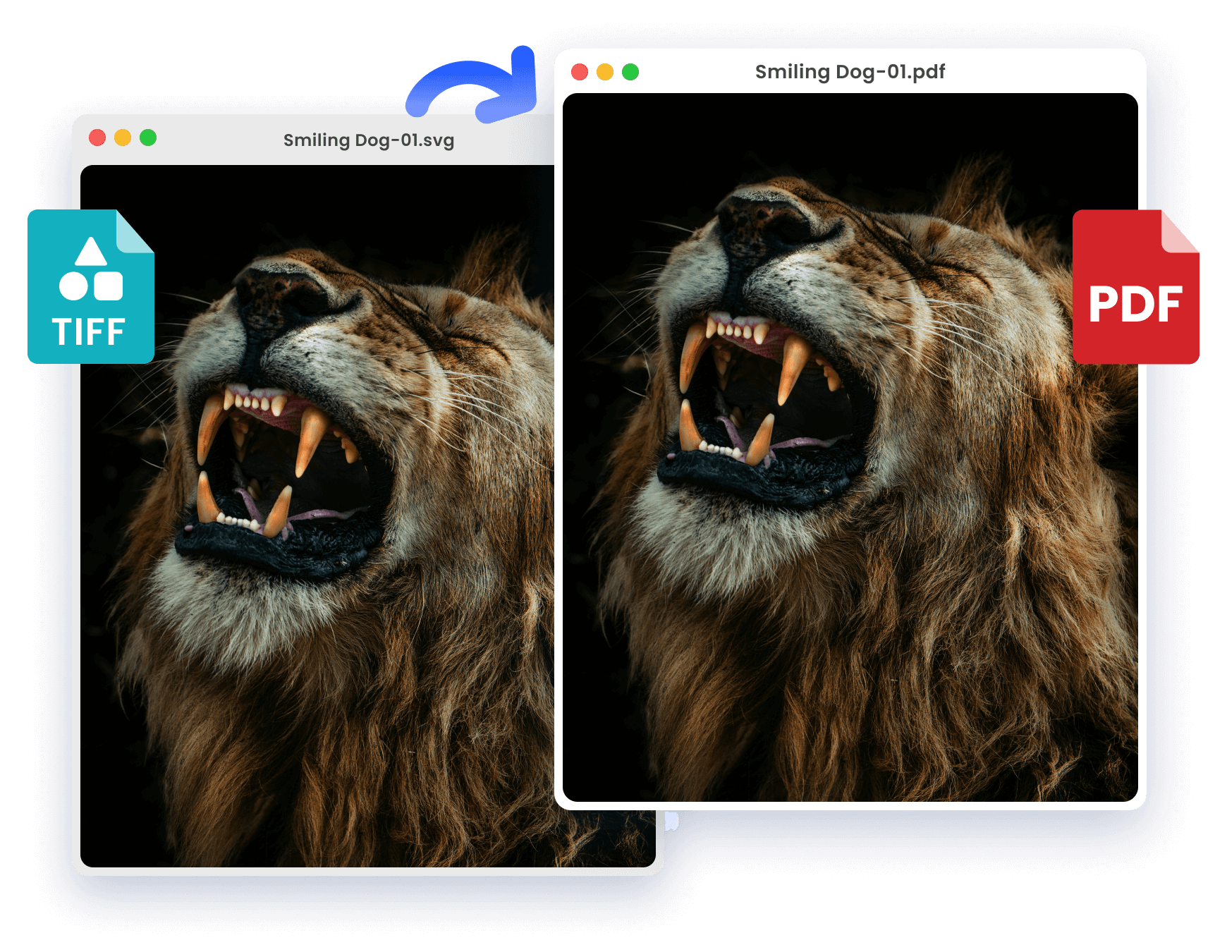 TIFF转PDF图片转换工具，高清稳定输出 - 轻闪PDF